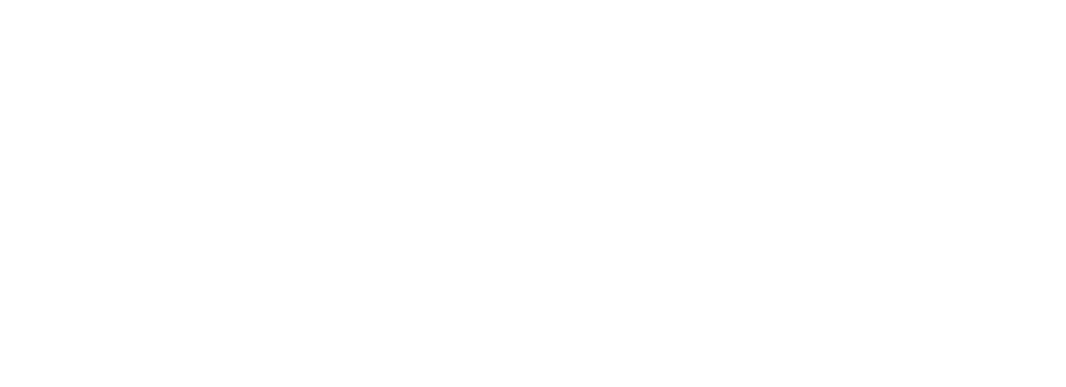 GSA Series 2 - Gas Steam Atmospheric - Williamson
